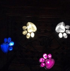Solar Powered Paw Print Lights [FREE Shipping] – Gadget Gerbil